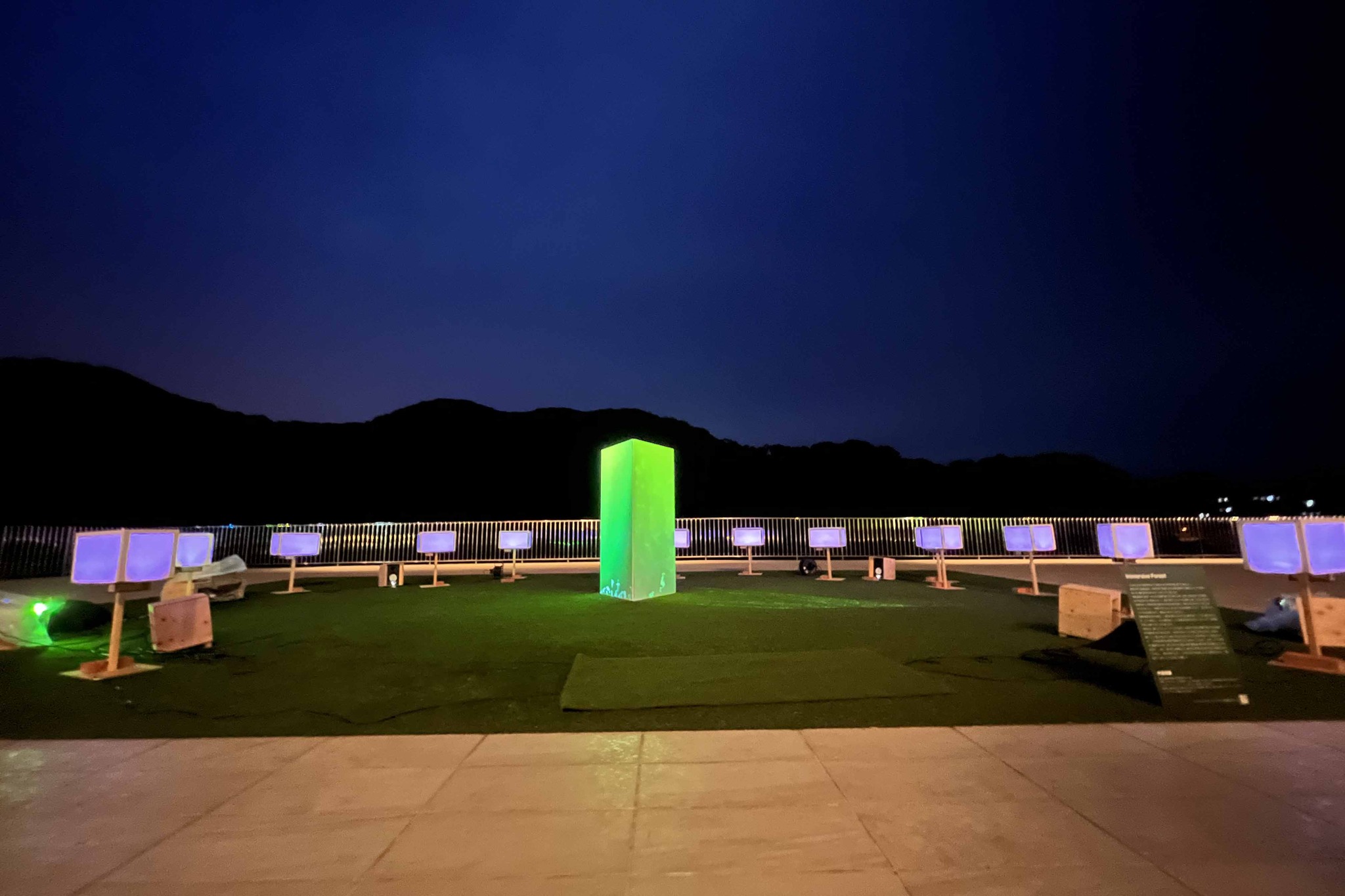 Immersive Forest - 大友祥碁公式ウェブサイト